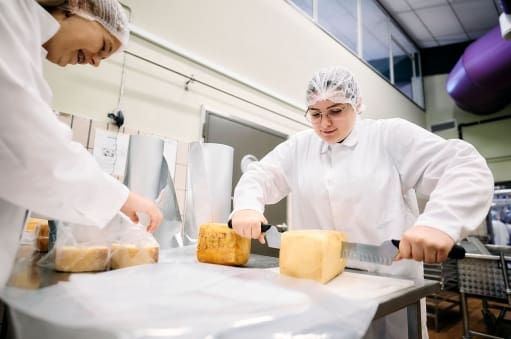 Mejerist uddannelsen (EUD) - mikrobiologi, fysik og kemi - Kold College ...
